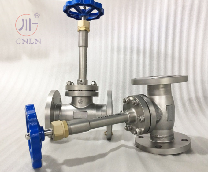 LNG/LOX/LN2/LAR/LCO2 için PN40 Flanged Cryogenic Globe Valve SS304/SS316